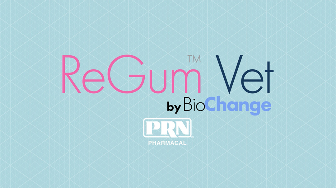 Veterinary Resources | ReGum™ Vet